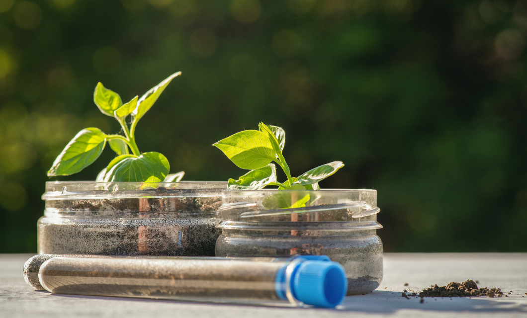 The Science Behind Scientific Writing | Plantae