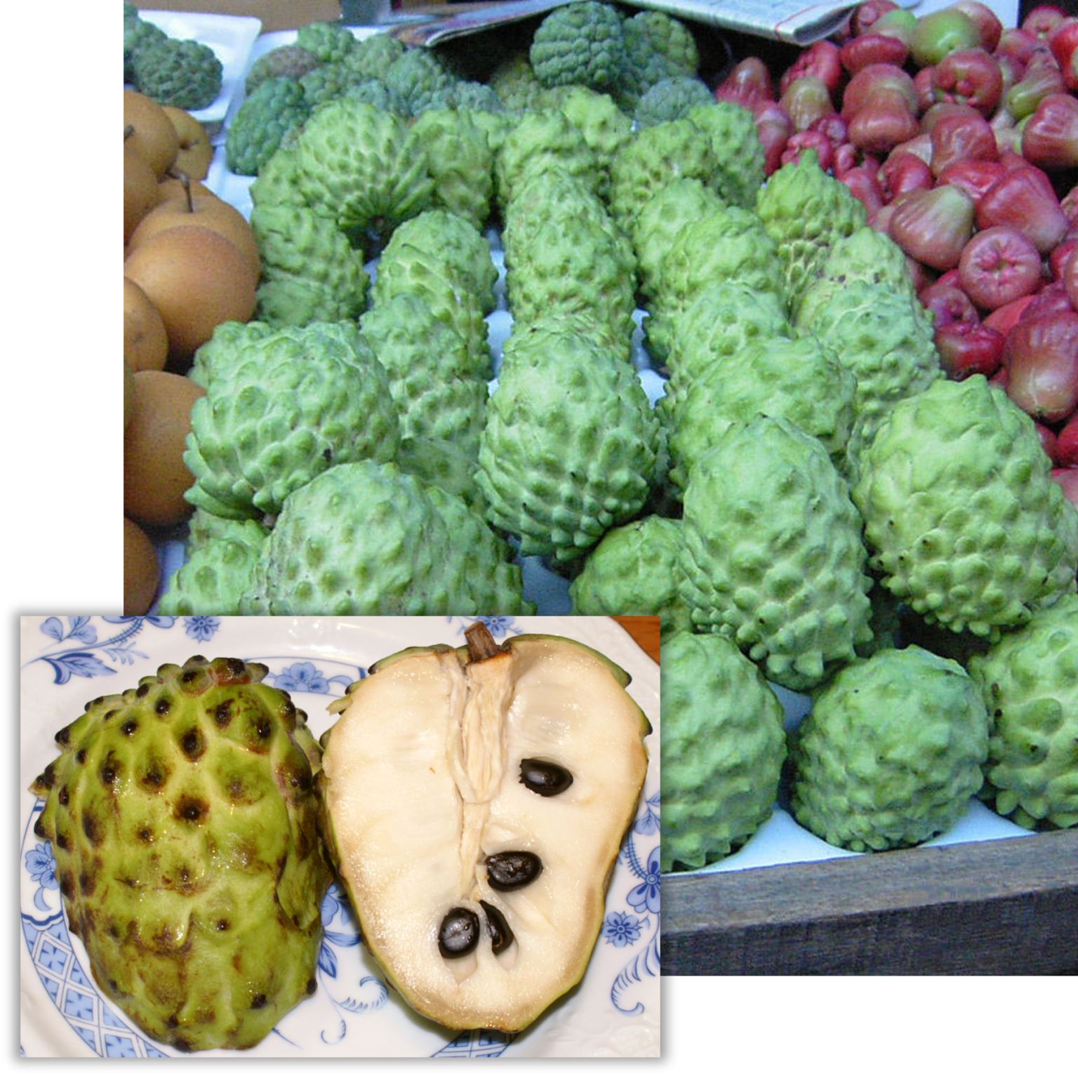 Hydraulic trade-offs underlie enhanced performance of polyploid trees ...