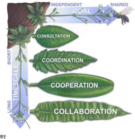 Inclusive collaboration across plant physiology and genomics: Now is ...