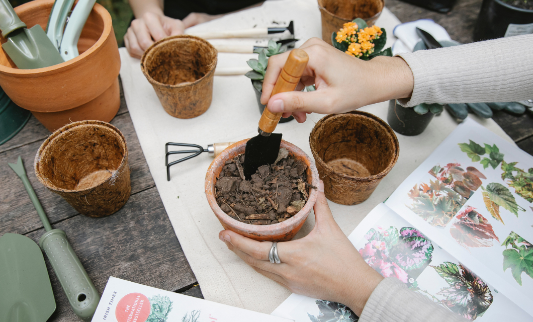 Building Up the Next Generation of Scientists | Plantae