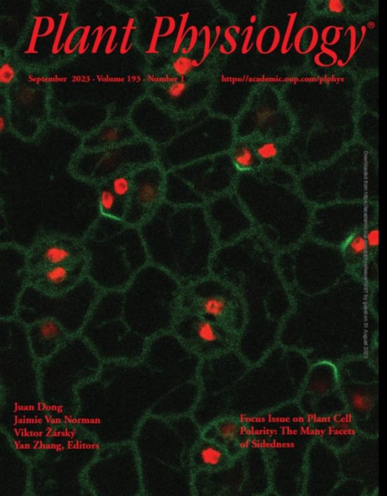 Plant Physiology Focus Issue Webinar: Plant Cell Polarity Sept 25, 2023 ...