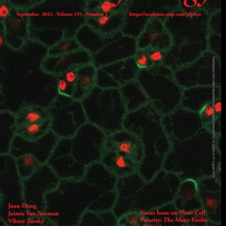 Plantae | Plant Science Research Weekly | Plantae