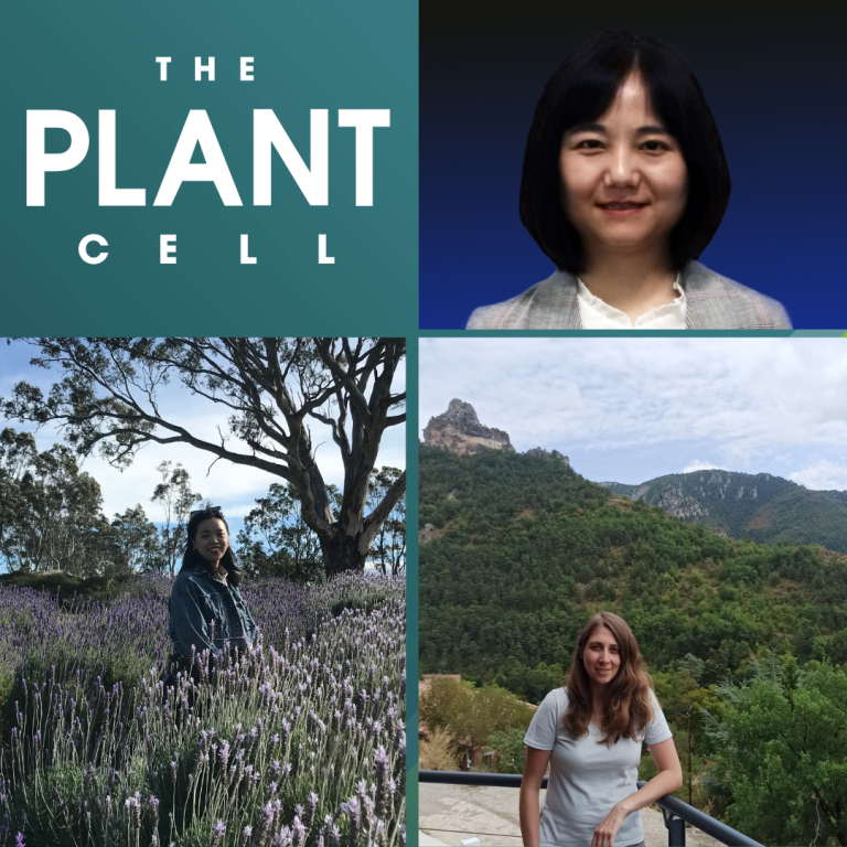 Plantae | The digital ecosystem for plant science