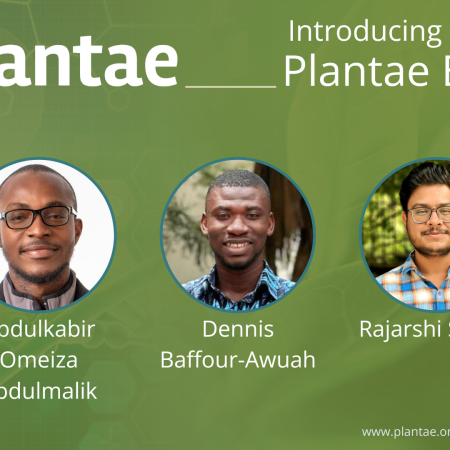 Plantae | Plantae Blog | Plantae