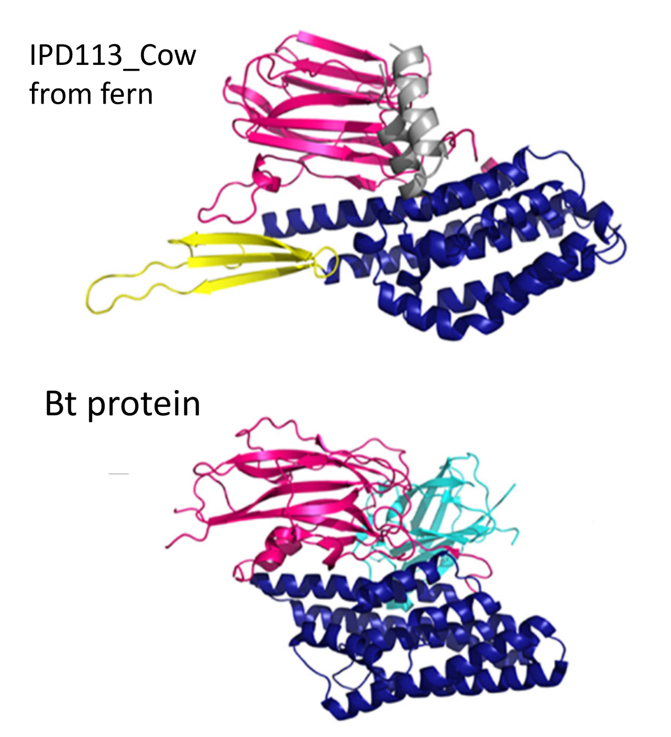 Ferns unleashed: Novel insecticidal proteins IPD113 challenge Bt ...
