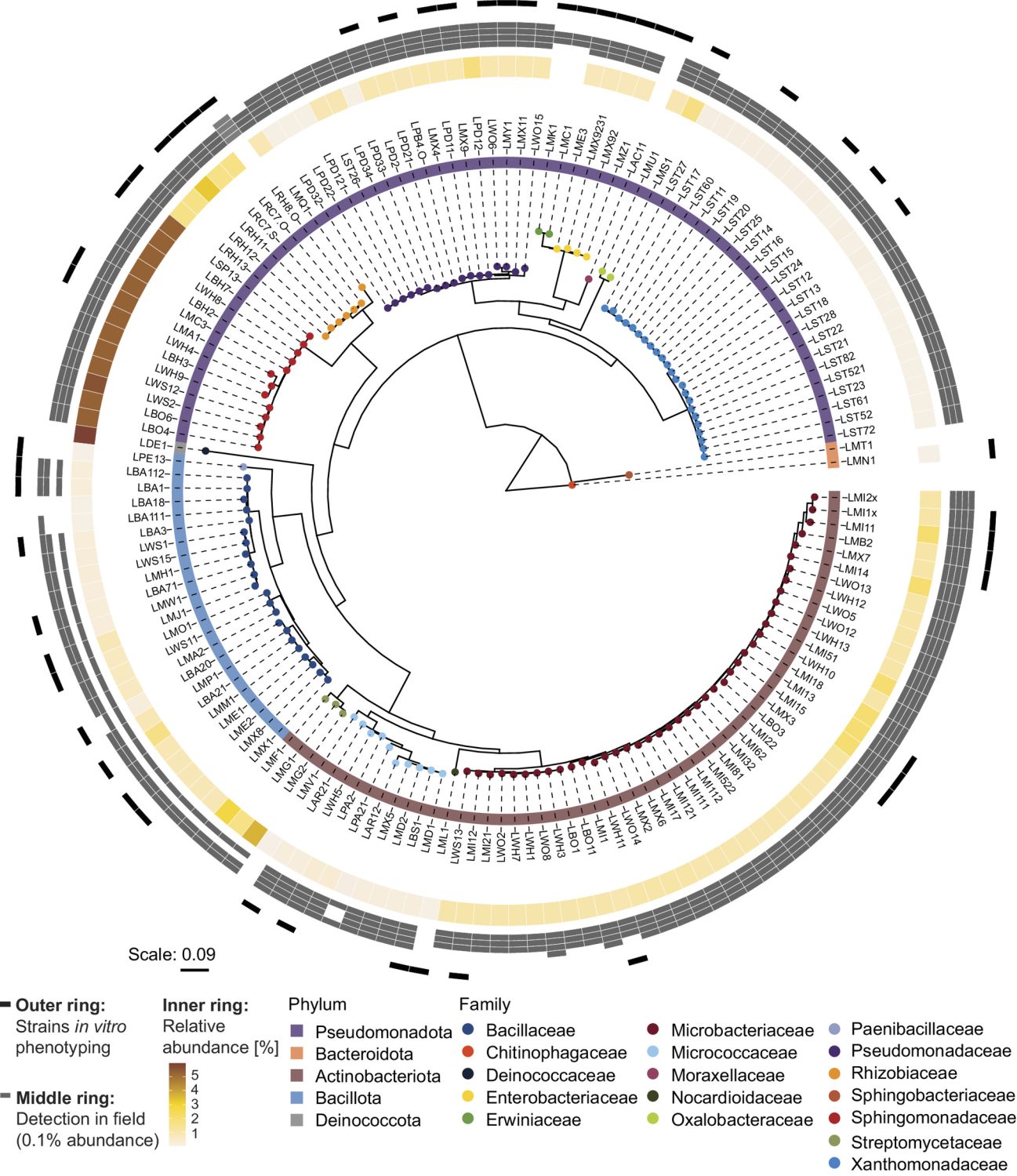 Bacterial tolerance to host-exuded specialized metabolites structures ...