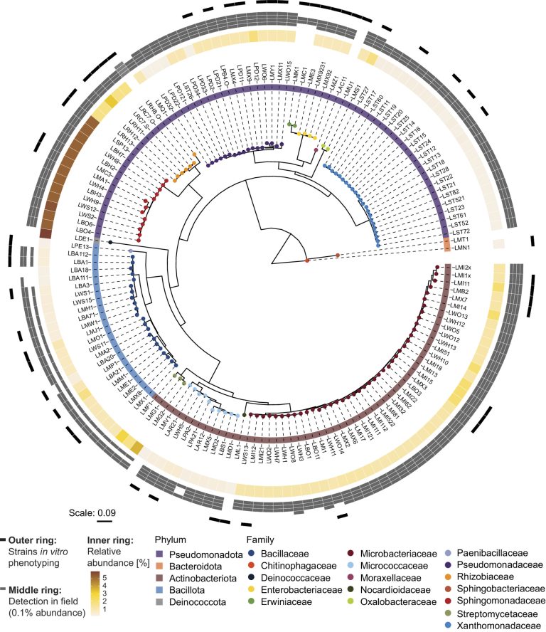Bacterial tolerance to host-exuded specialized metabolites structures ...