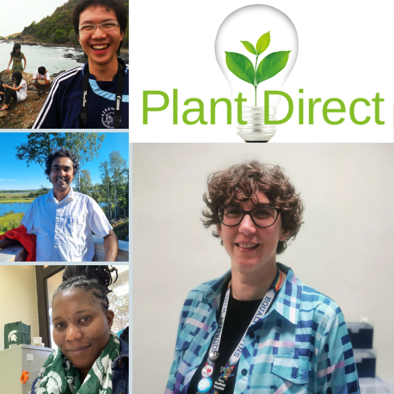 Plant Direct - Open Access Journal | Plantae