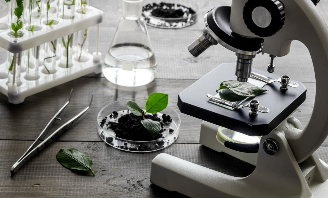 Plantae | The digital ecosystem for plant science