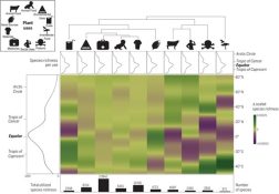 The global distribution of plant diversity and its significance to ...
