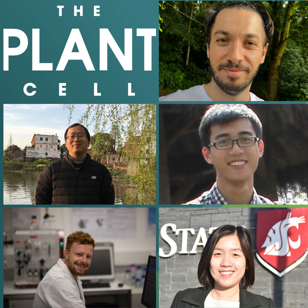 The Plant Cell Features December First Authors | Plantae
