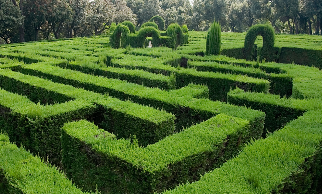 Navigating the Labyrinth of Discrimination: A Call for Inclusion in ...