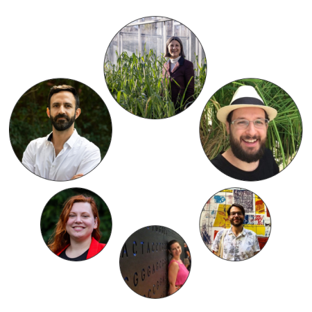 Plantae | The digital ecosystem for plant science