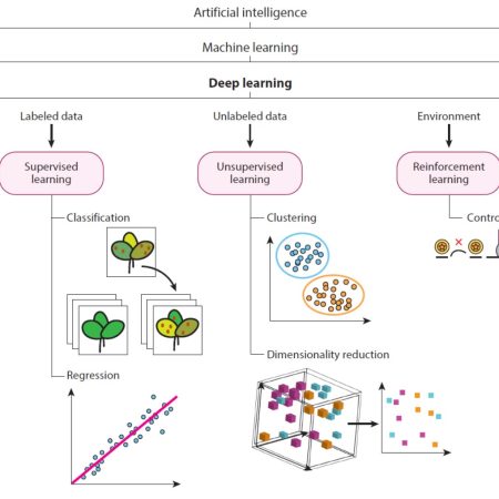 Plantae | Plant Science Research Weekly | Plantae