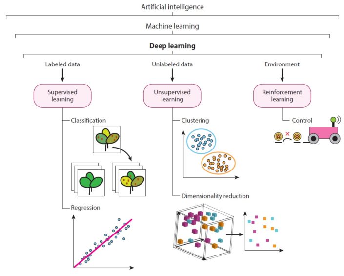 Review: Deep learning in image-based plant phenotyping | Plantae Review: Deep learning in image-based plant phenotyping | Plantae
