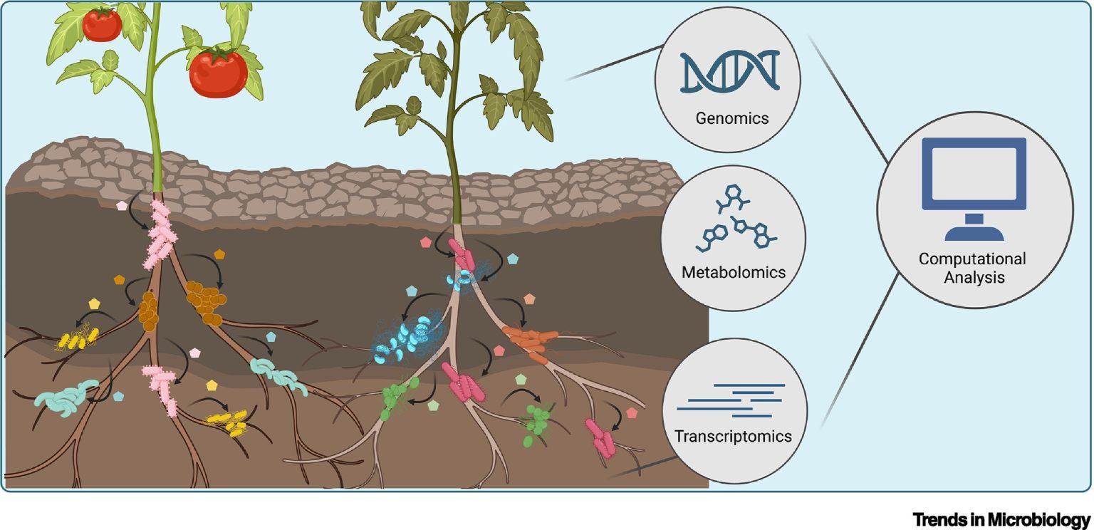 Review: Integrative framework for successful deployment of microbiomes ...