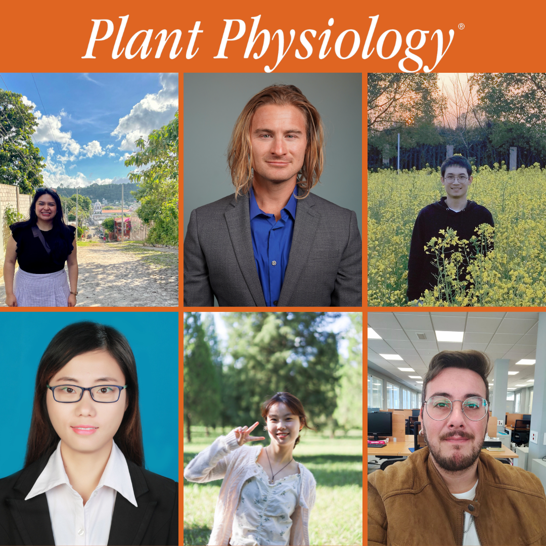 Plant Physiology Spotlights January 2024 First Authors | Plantae