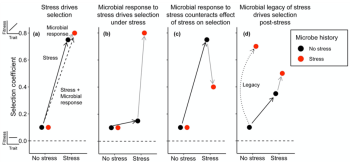 Hidden influence: How microbial stress responses shape plant natural ...