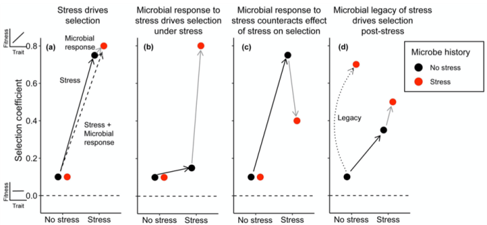 Hidden influence: How microbial stress responses shape plant natural ...