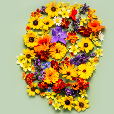 Plantae | Plantae Blog | Plantae