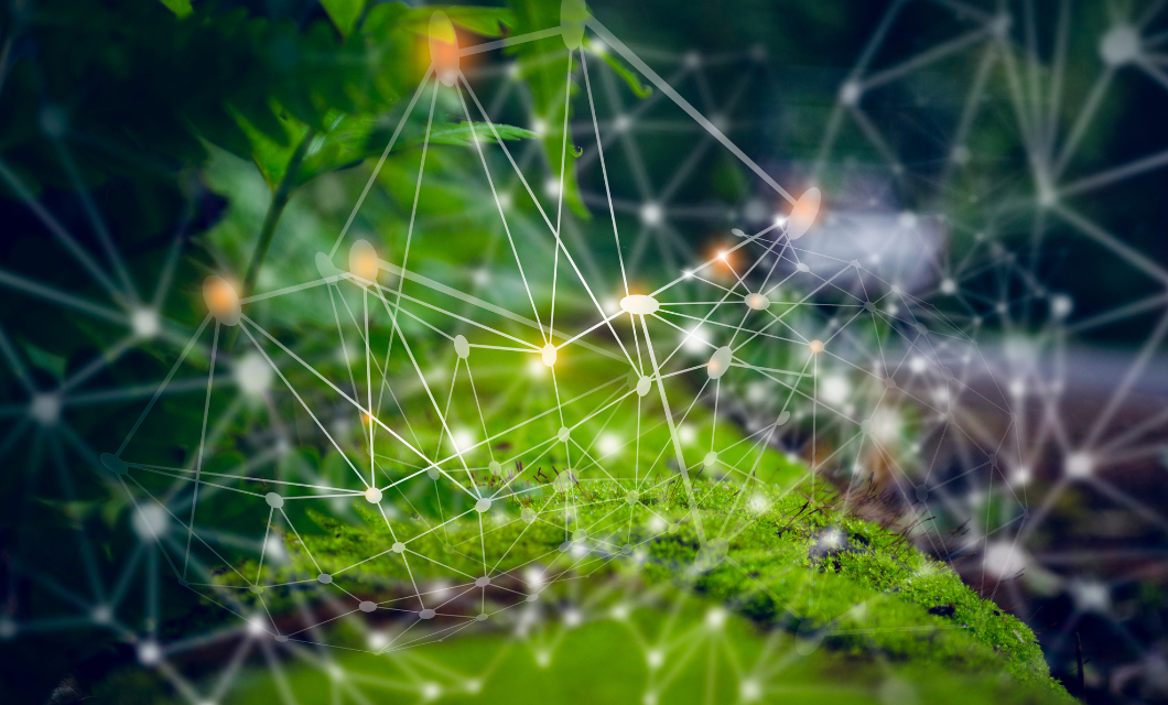 Interdisciplinary Plant Sciences: Integrating Plant Science Research in ...