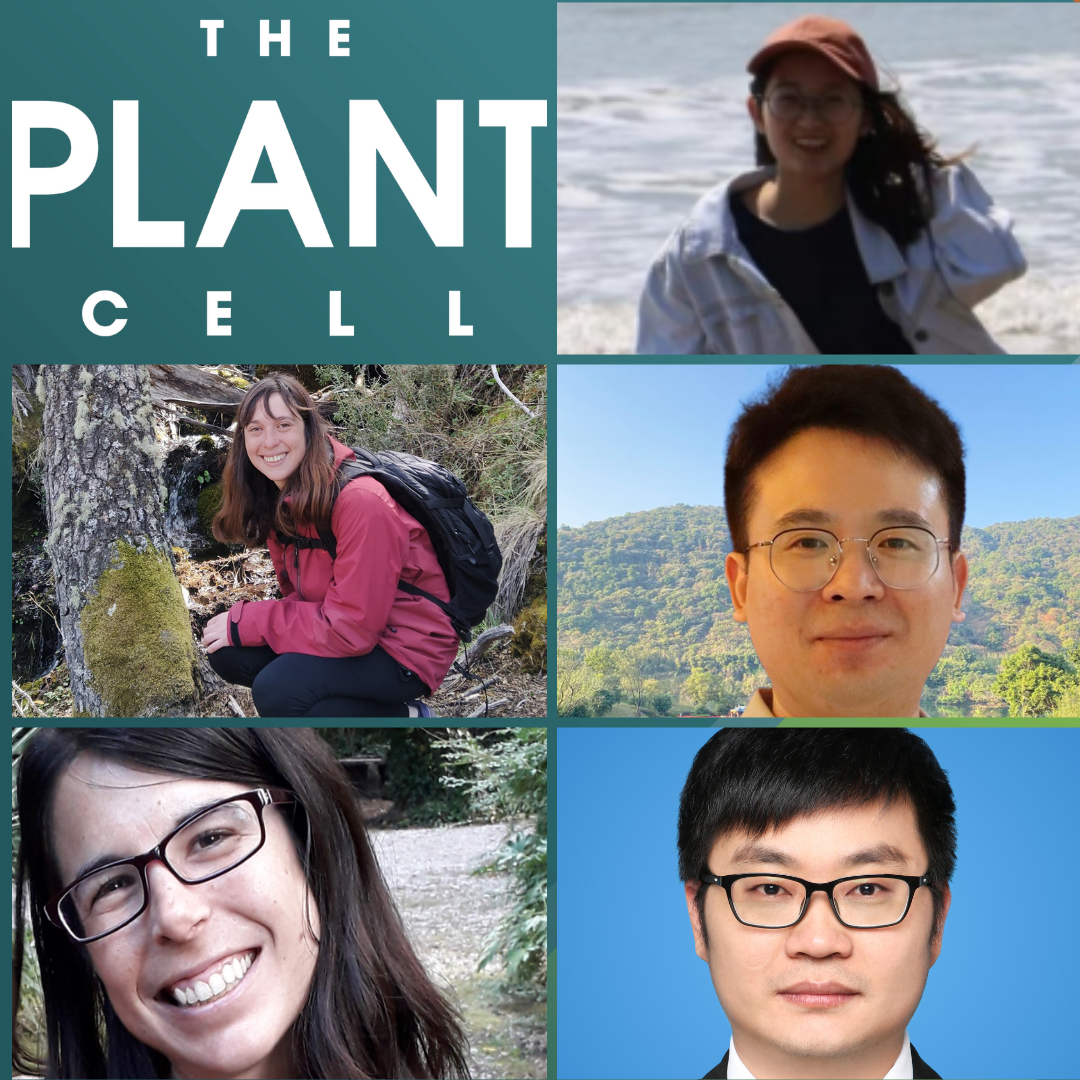 Plantae | Plantae Blog | Plantae