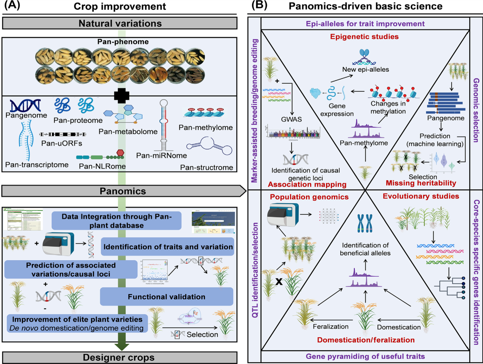 Review: The era of panomics-driven gene discovery in plants | Plantae