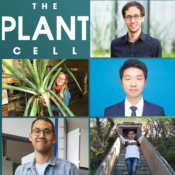 Plantae | Plantae Blog | Plantae