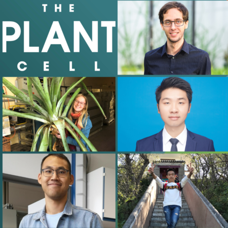 Plantae | The digital ecosystem for plant science