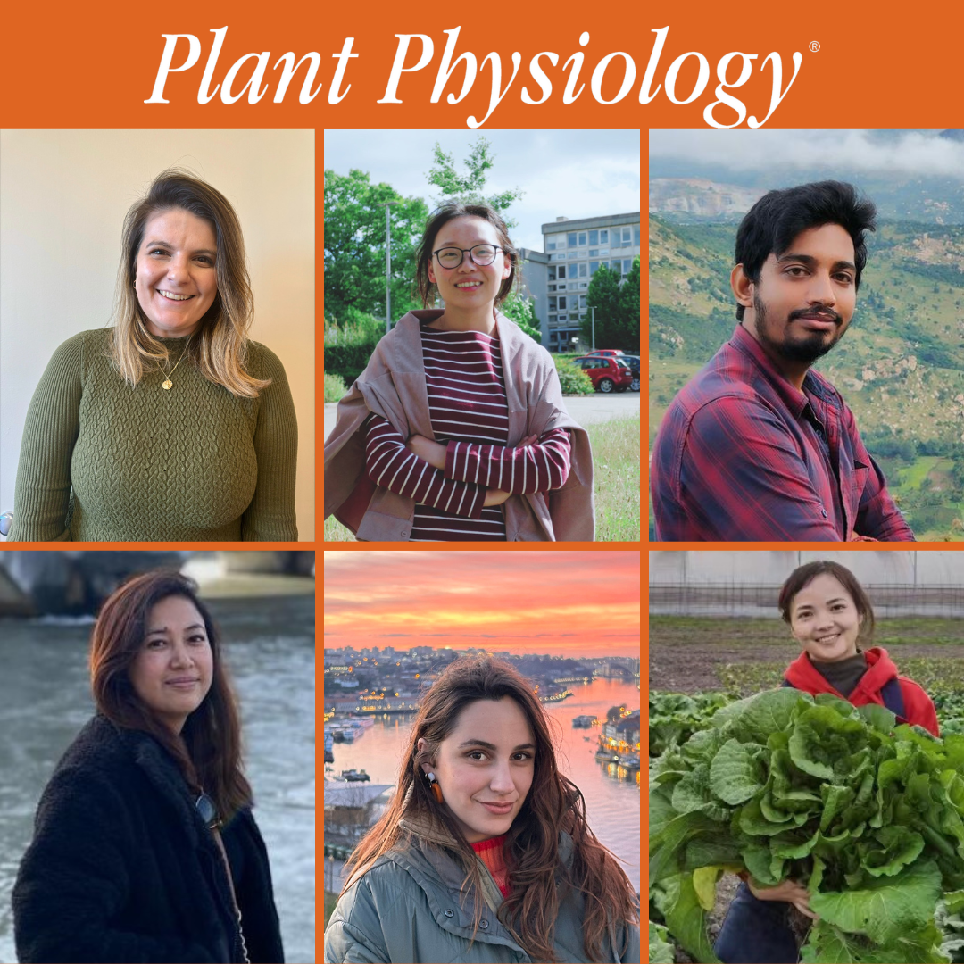 Plantae | Plantae Blog | Plantae