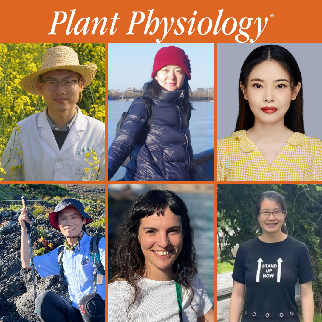 Plantae Blog | Plantae