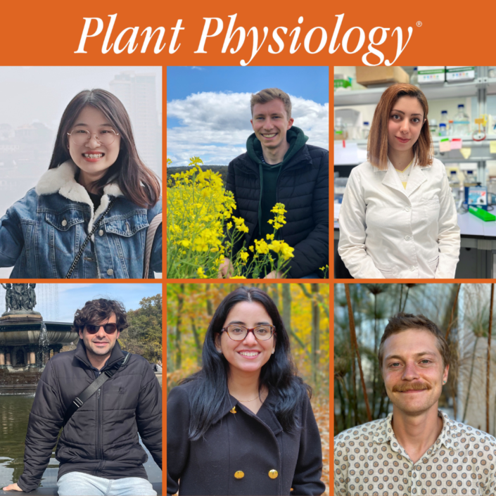 Plantae | The digital ecosystem for plant science