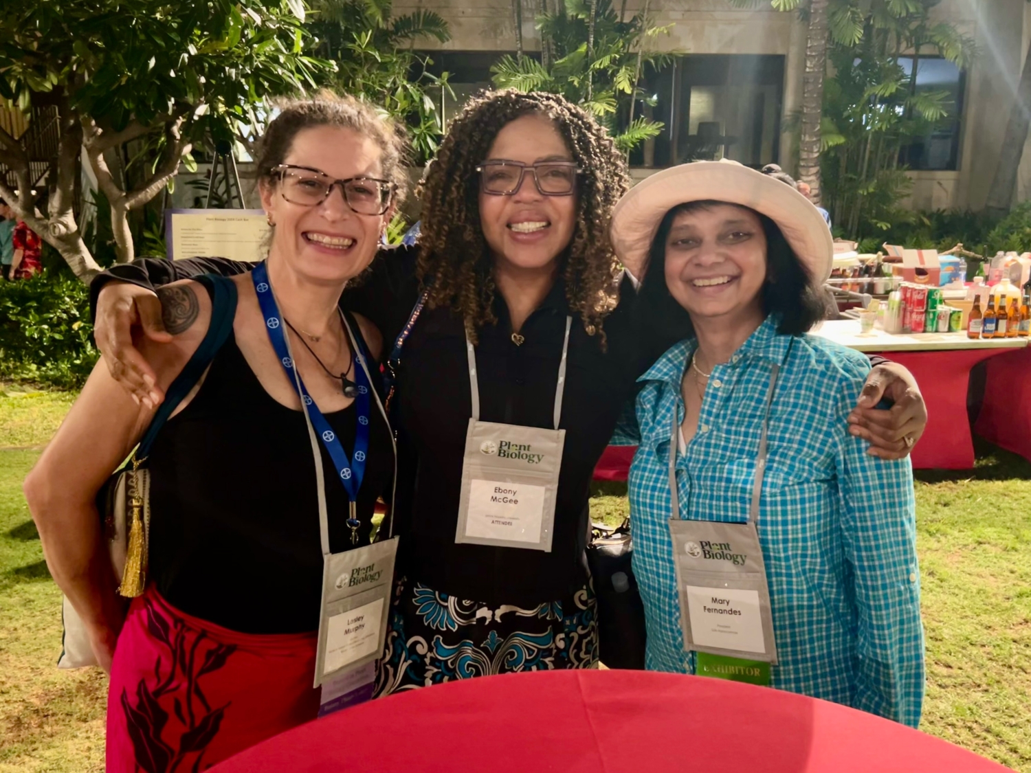 Lack of Minoritized Inclusion in STEM: Beyond Mentoring to Meaningful ...