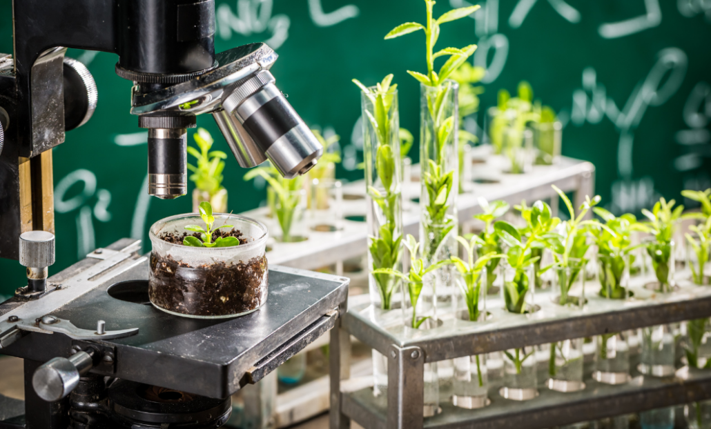 Plantae | The digital ecosystem for plant science