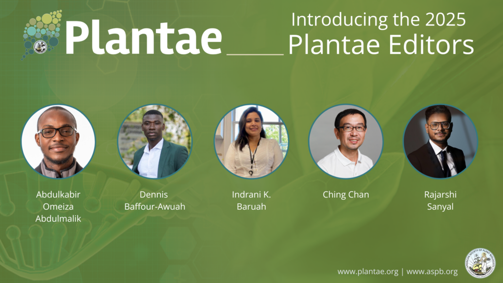 About | Plantae