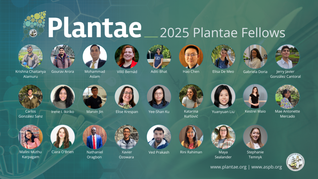 Plantae | The digital ecosystem for plant science