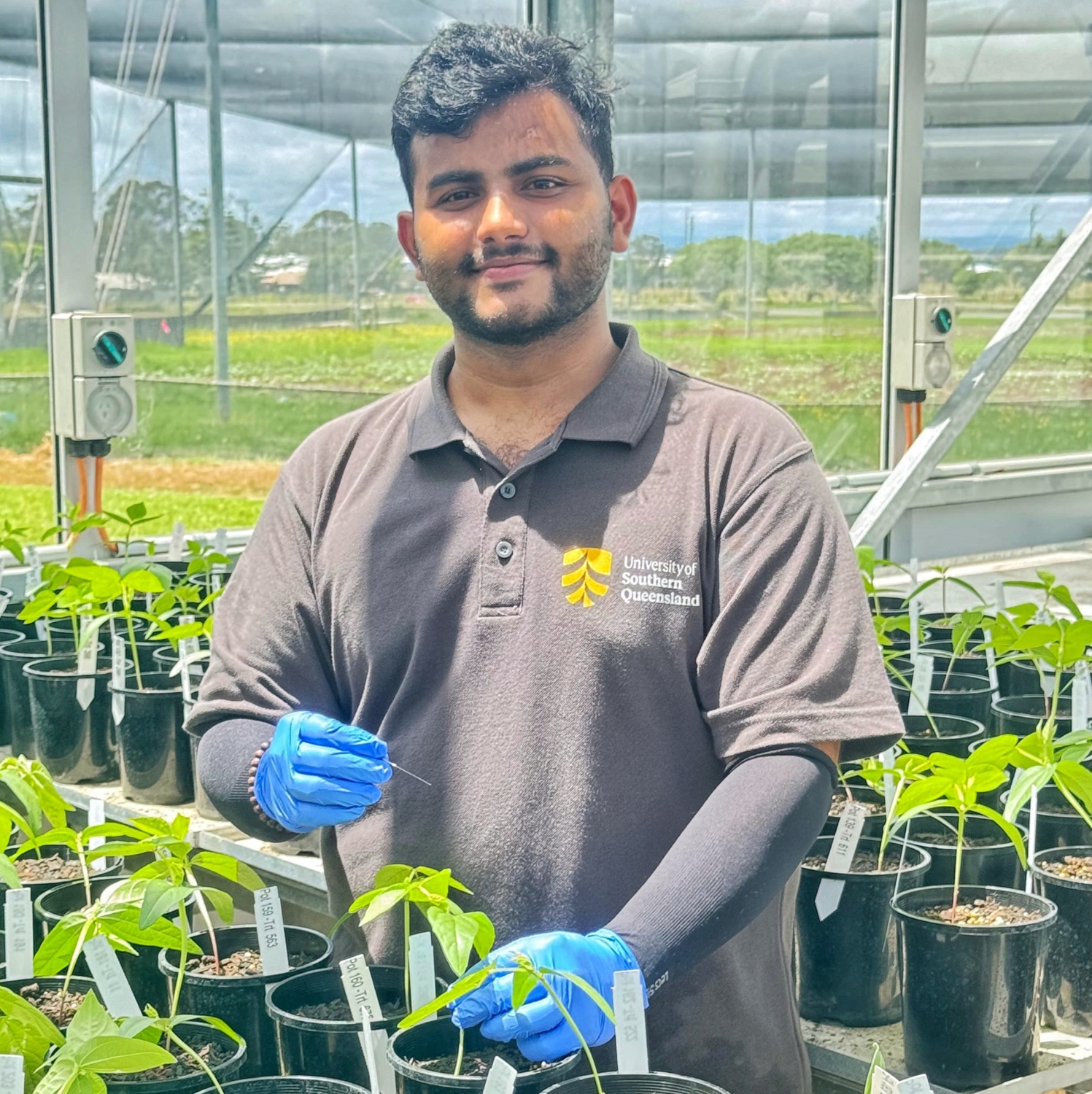 Announcing the 2025 ASPB Plantae Fellows | Plantae