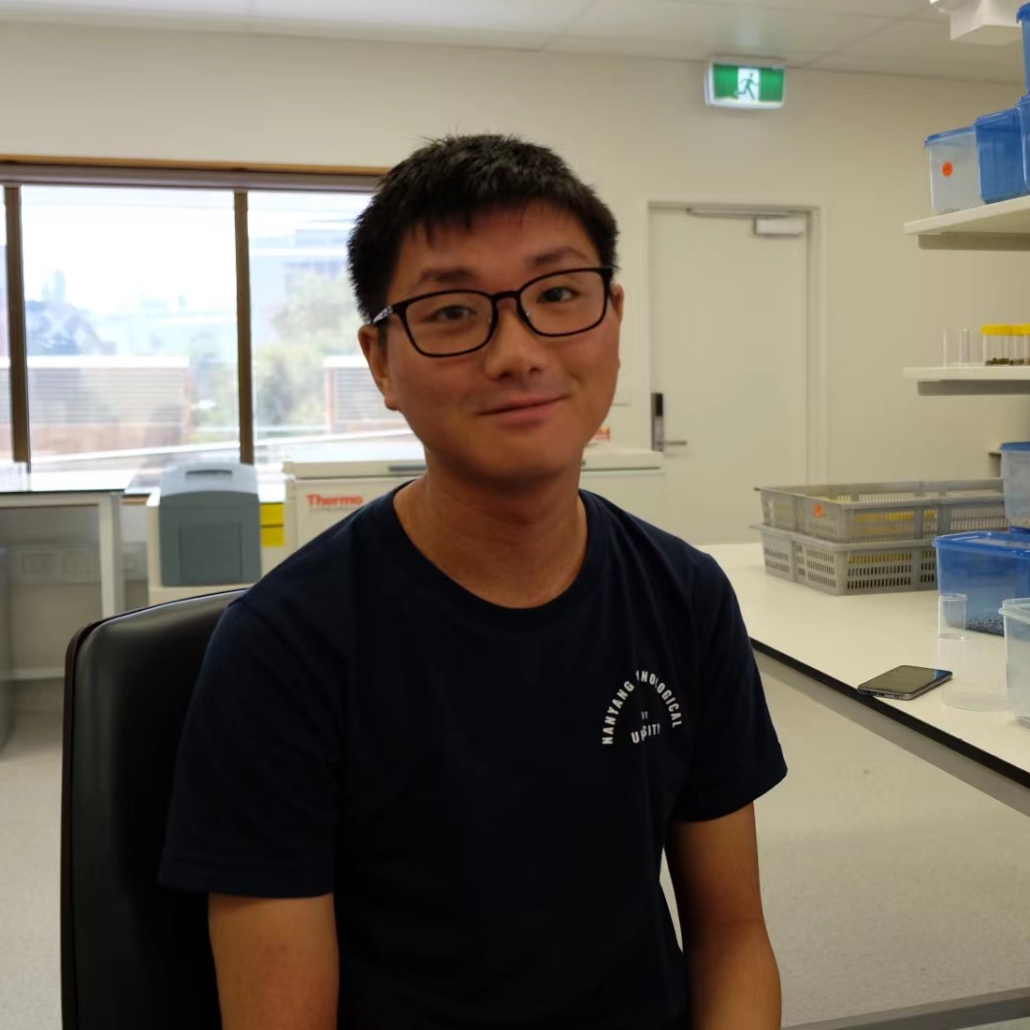 Announcing the 2025 ASPB Plantae Fellows | Plantae Announcing the 2025 ASPB Plantae Fellows | Plantae