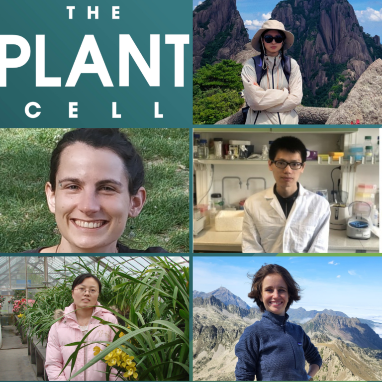 Plantae | The digital ecosystem for plant science