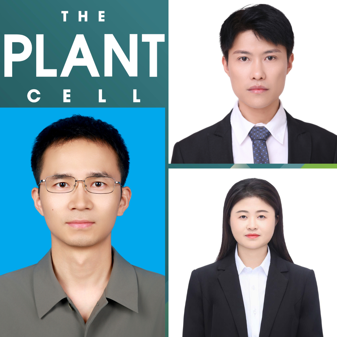 The Plant Cell Features September First Authors | Plantae