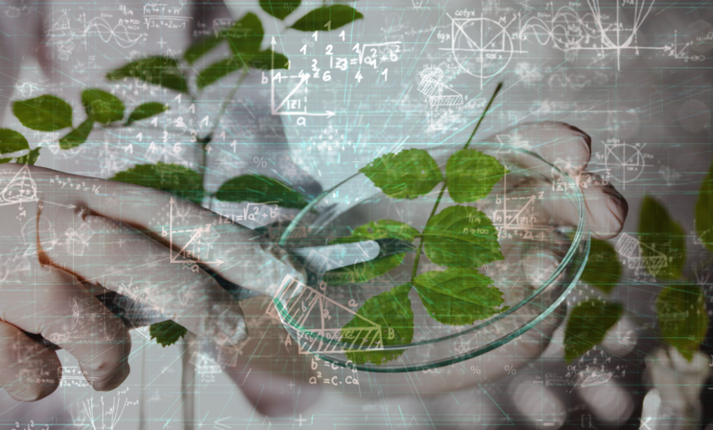 Plantae | The digital ecosystem for plant science