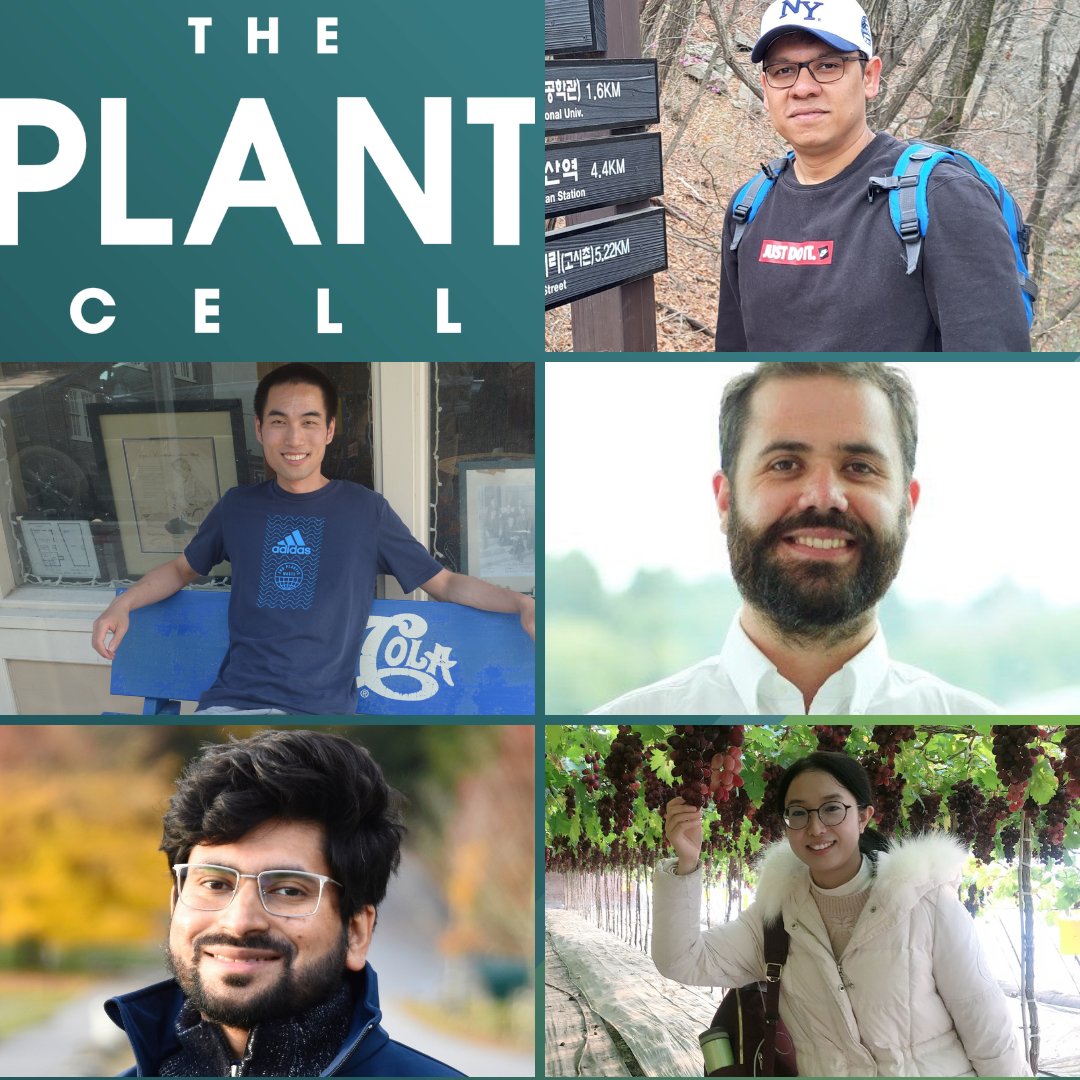 The Plant Cell Features November and December 2024 First Authors | Plantae