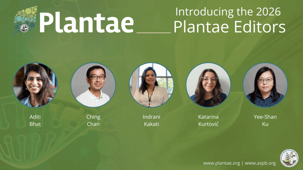 About | Plantae