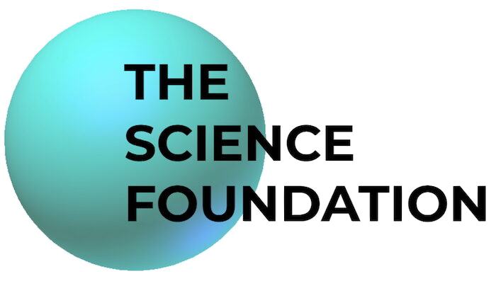 The Science Foundation What IFS 2025: An Opportunity for Basic Research ...