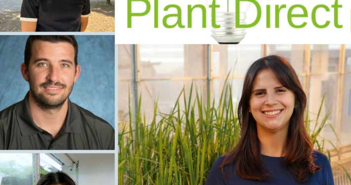 Plant Direct - Open Access Journal | Plantae
