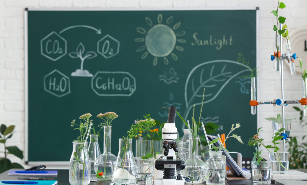 A Guide for Poster Making: Tips to Master PowerPoint and Inkscape | Plantae